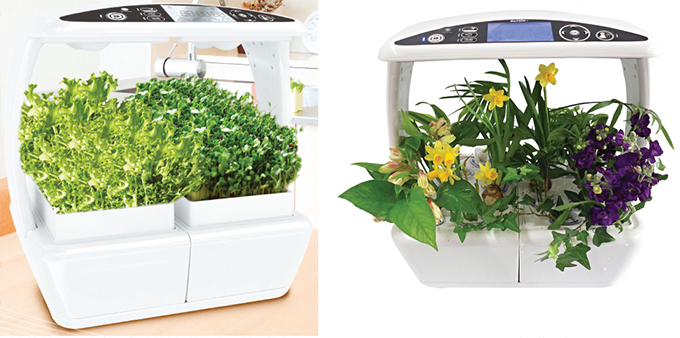 Smart Plant Gardening System “BioFarm” - Korean-Products.com