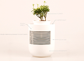 Pot Humidifier - Korean-Products.com