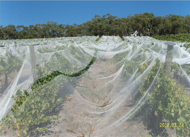 Agricultural Netting - Korean-Products.com