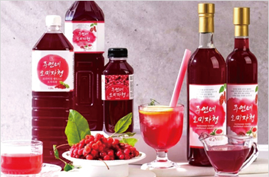 Schisandrae Fructus Extract - Korean-Products.com